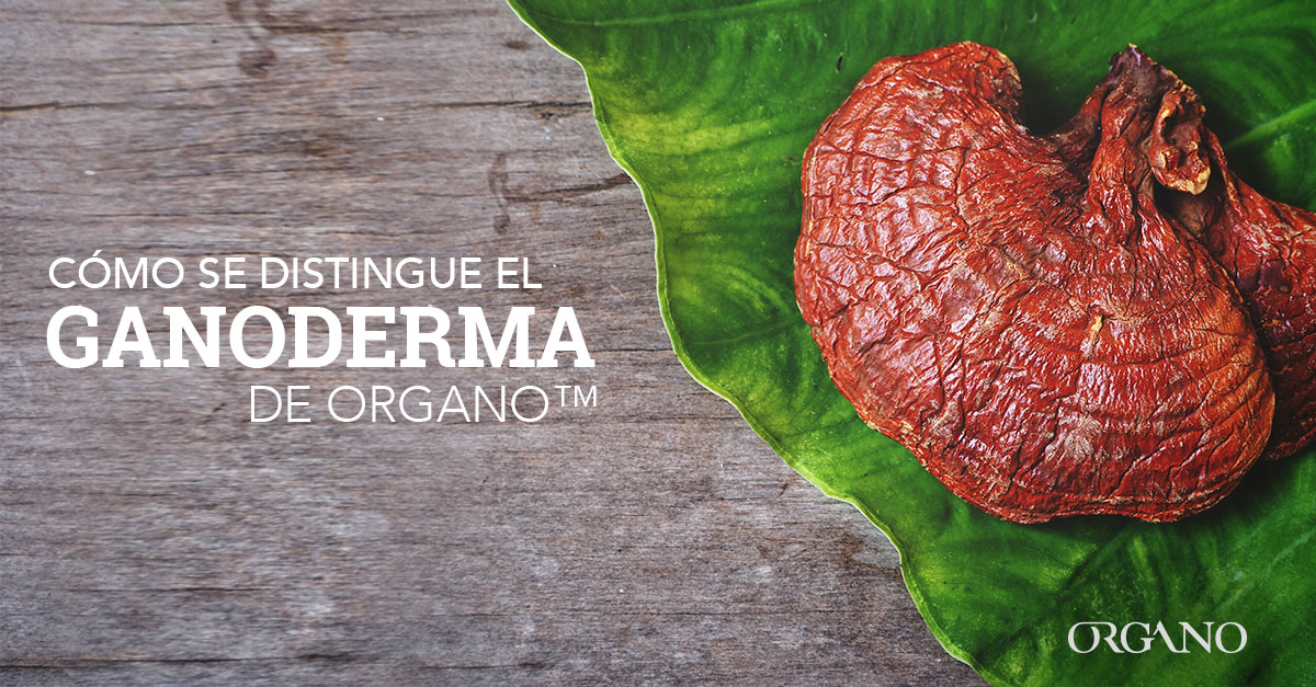 5 Razones por las que Amar Nuestro Ganoderma