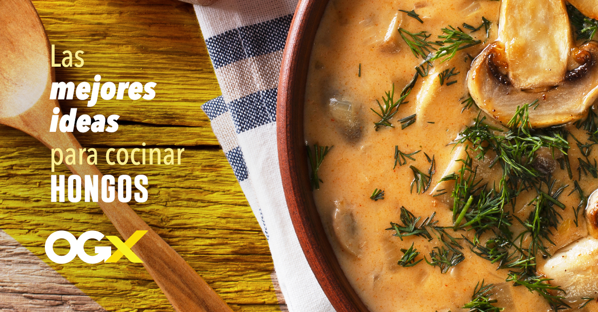 Tres Recetas Deliciosas Preparadas con Hongos