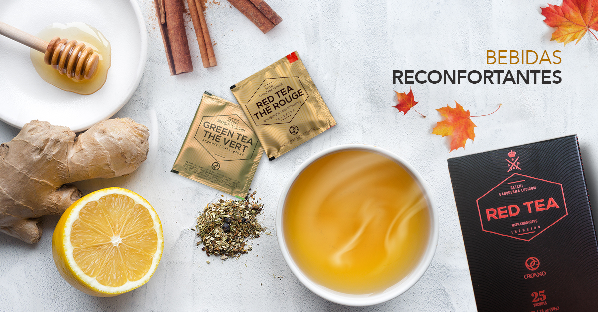 Ponte cómodo este otoño con estas recetas de té - ORGANO™ Official Blog