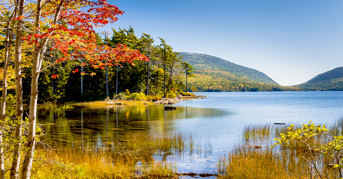 5 destinations to photograph the scenic fall - ORGANO™ Official Blog