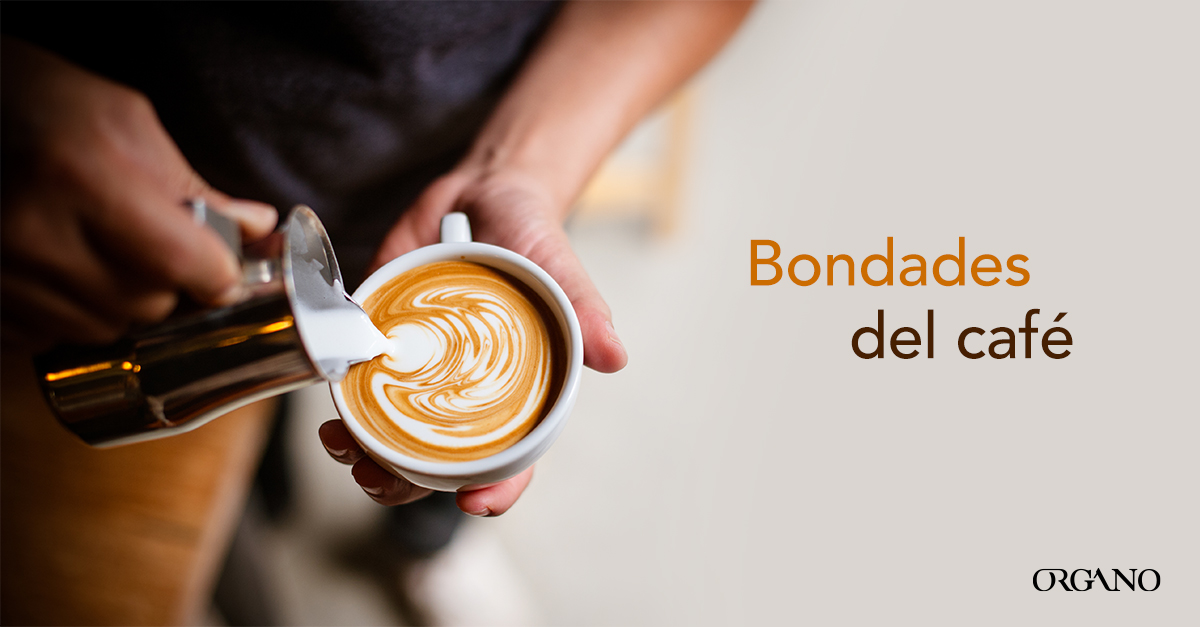 Celebra el Mes Nacional del Café con estas Recetas - ORGANO™ Official Blog