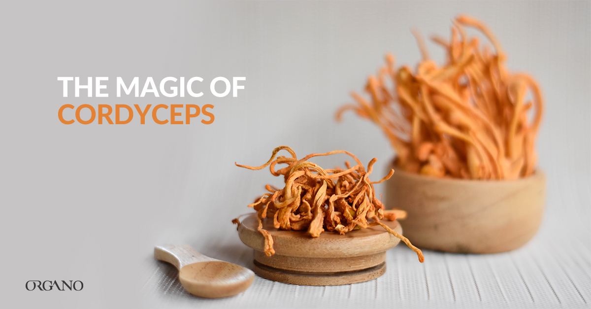 The-magic-of-Cordyceps_blog_eng - ORGANO™ Official Blog