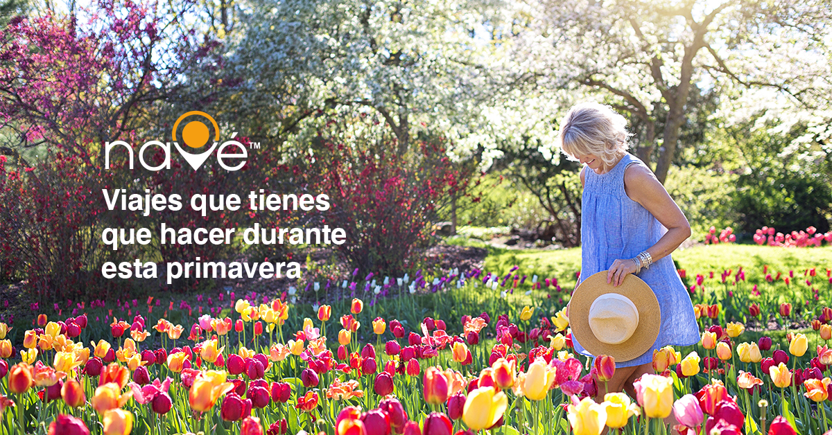 ¡Los mejores destinos de primavera que no querrás perderte! - ORGANO ...