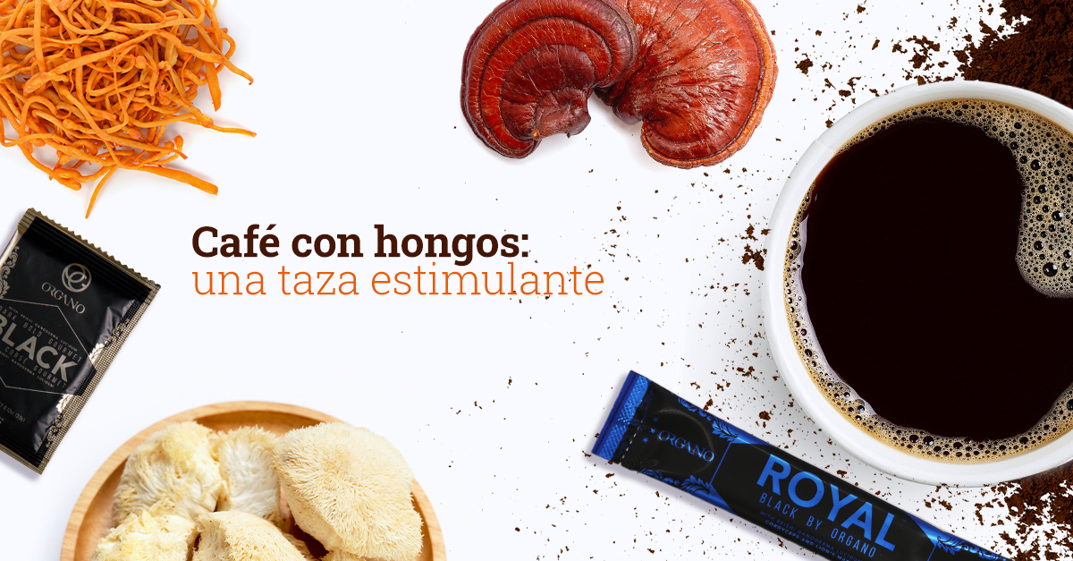 Alimenta tu estilo de vida con un café con hongos - ORGANO™ Official Blog