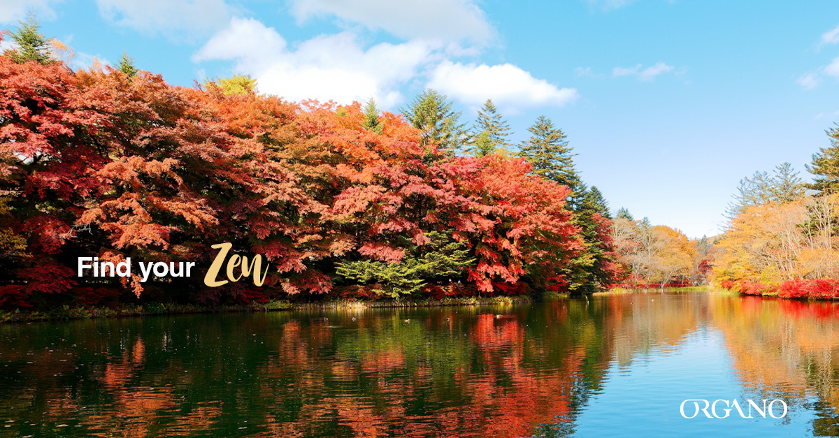 3 Wellness Destinations To Slow Down - ORGANO™ Official Blog